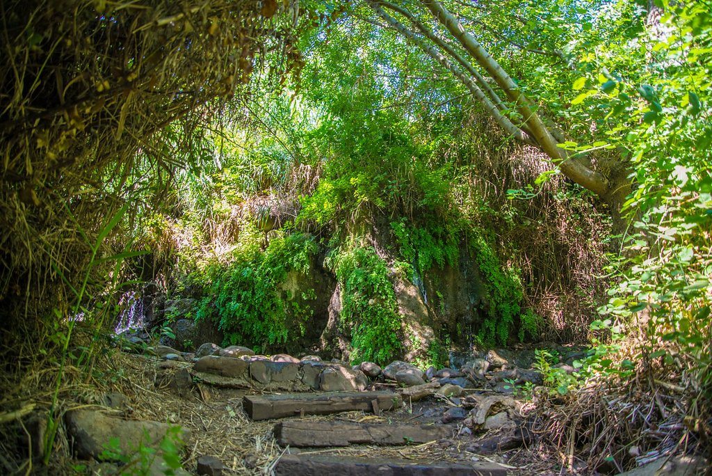 Nature's Spring Revival in Northern Israel - Israel Nature and Parks ...