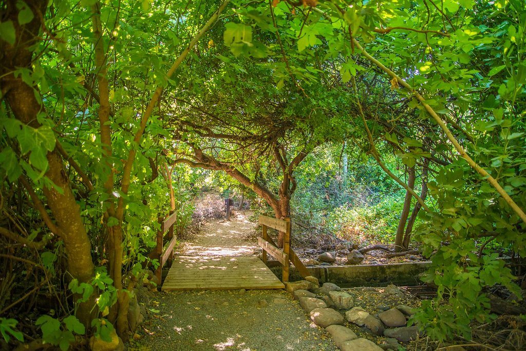Welcome back to nature and heritage sites - Israel Nature and Parks ...