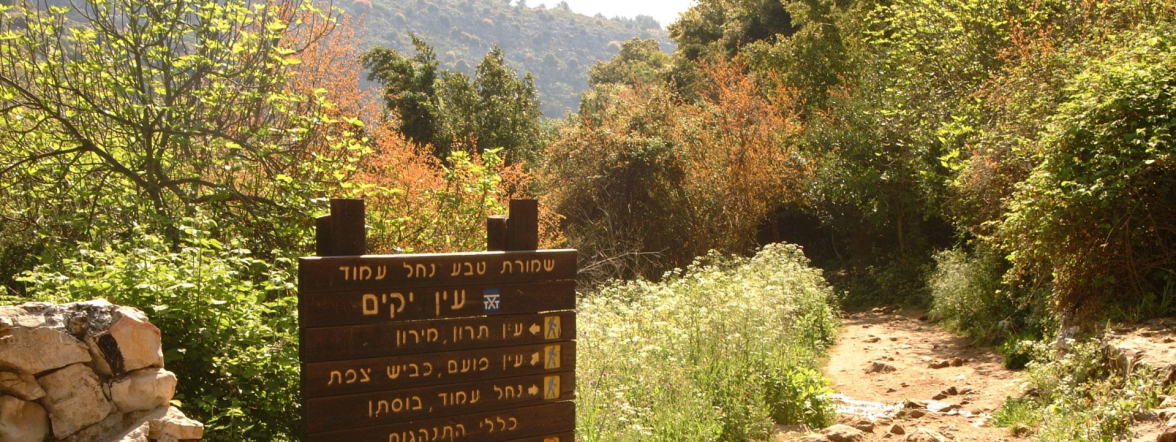 Amud Stream Nature Reserve - Israel Nature and Parks Authority