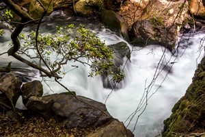 Hermon Stream (Banias) Nature Reserve – Springs area - Israel Nature ...