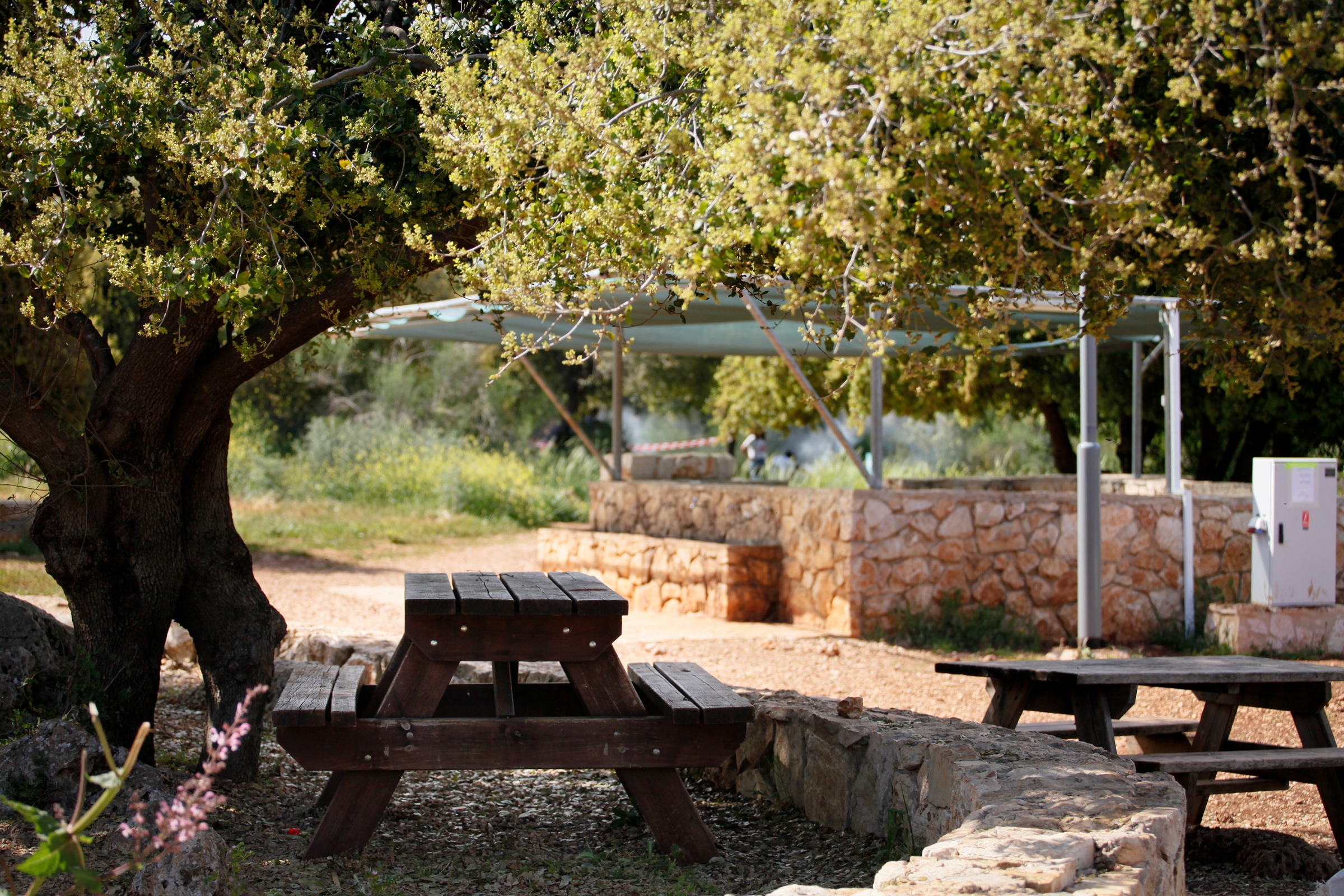 Amud Stream Campsite - Israel Nature and Parks Authority
