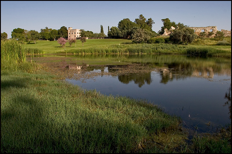 Yarkon National Park - Israel Nature and Parks Authority