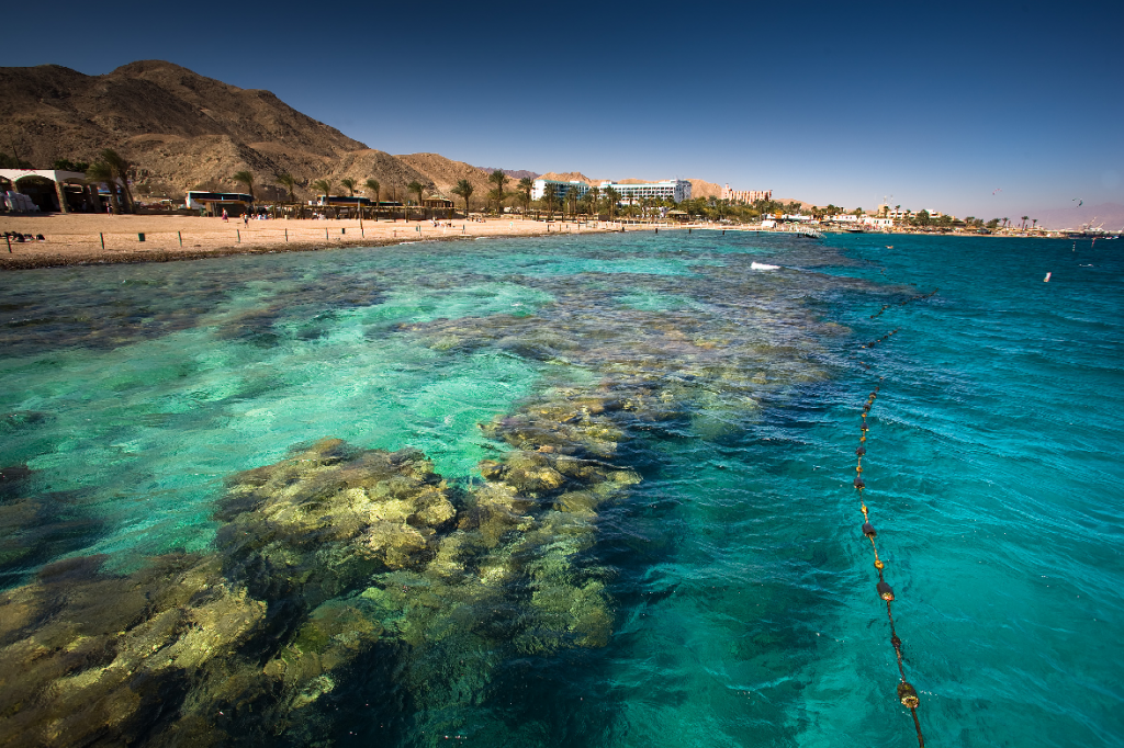 Three most fabulous family friendly nature reserves in Israel - Israel ...