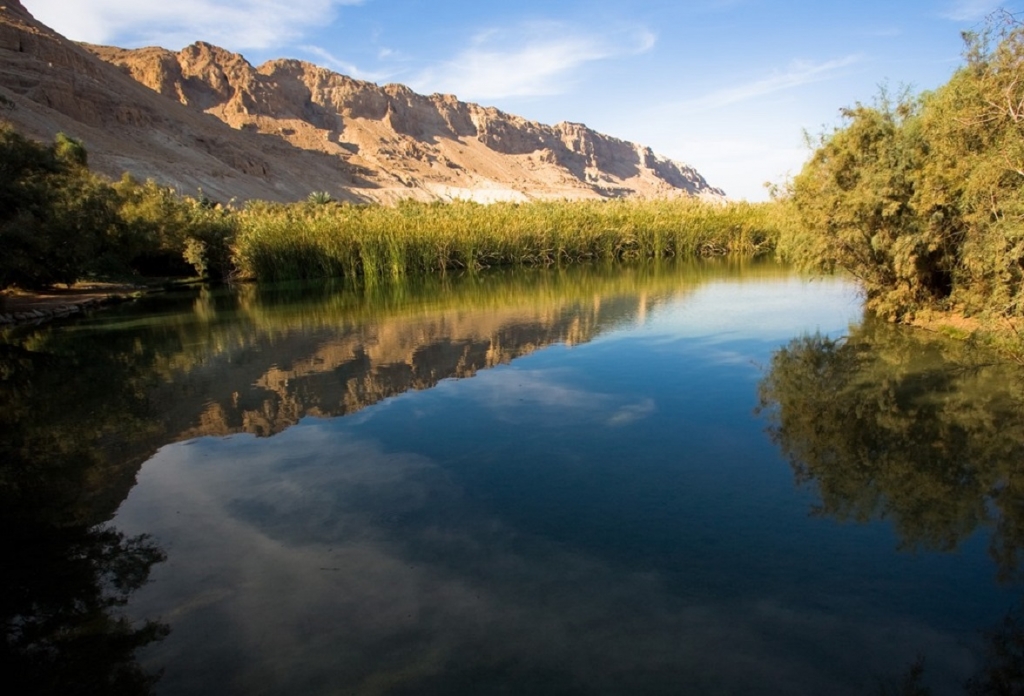 Three most fabulous family friendly nature reserves in Israel - Israel ...