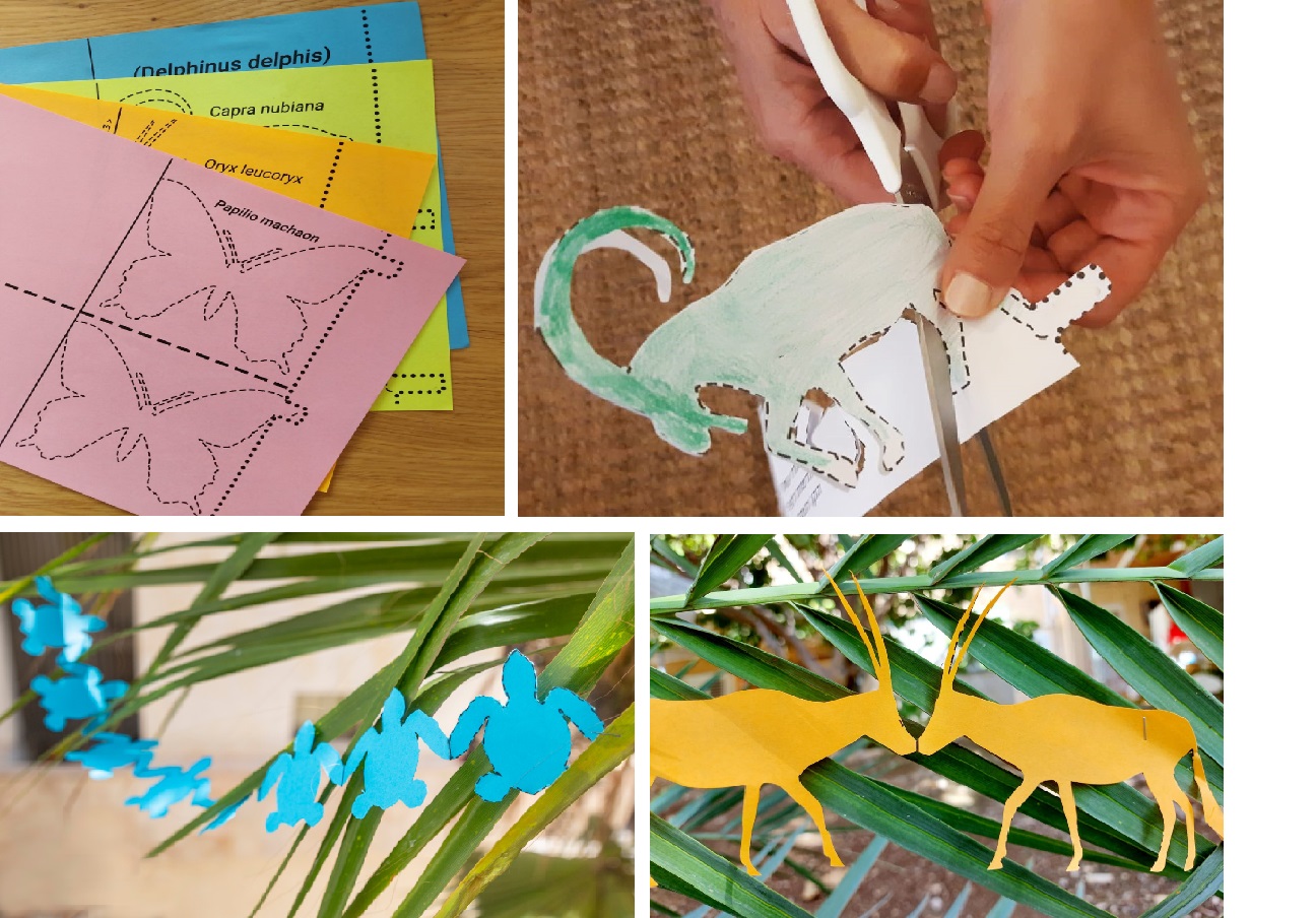 Paper chains for Sukkot - Israel Nature and Parks Authority