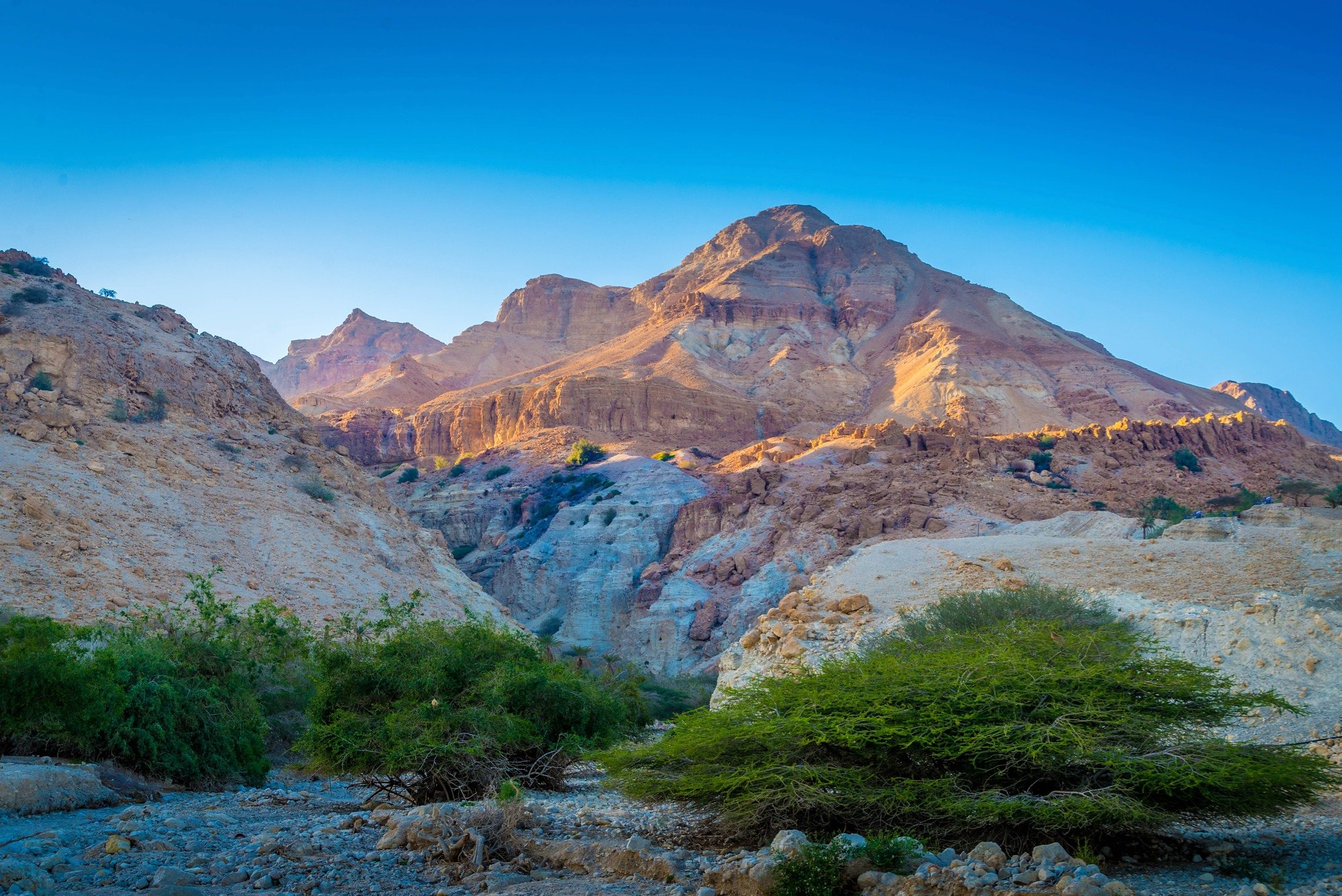 Holiday Themes at Israel's Parks - Israel Nature and Parks Authority